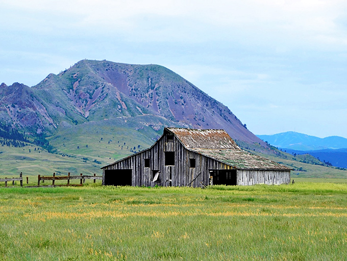 Old meets ancient. This weathered barn stands as a humble timekeeper, measuring its years against the ageless backdrop of Bear Butte.