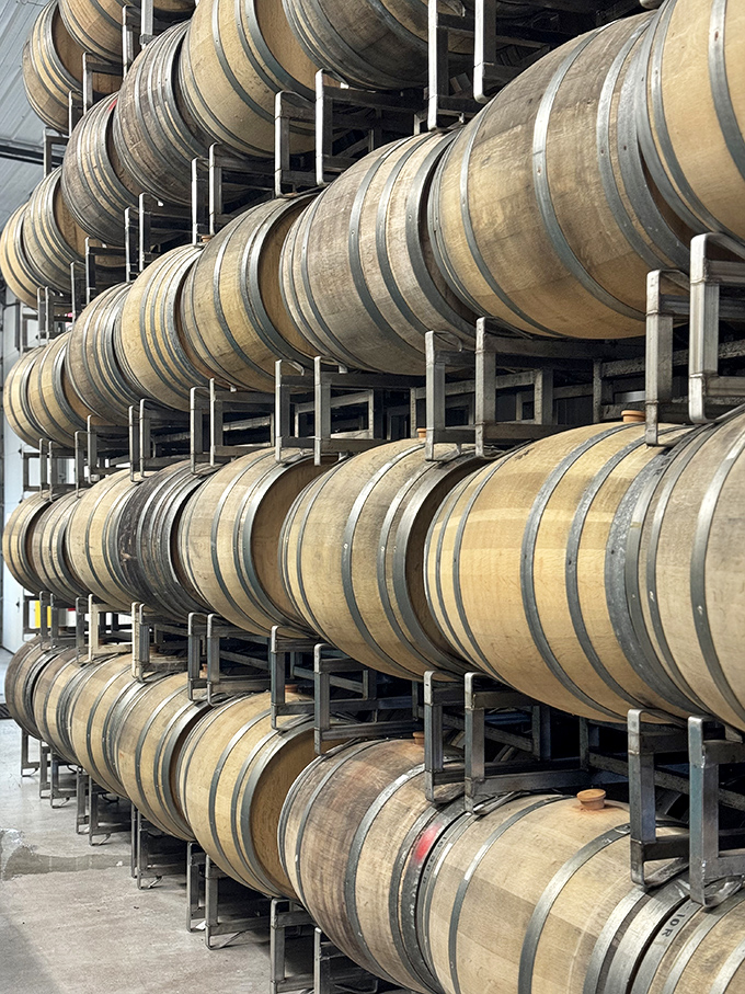 Barrel room bliss: Where oak meets grape in a dance of flavors. It's like a time machine for wine.