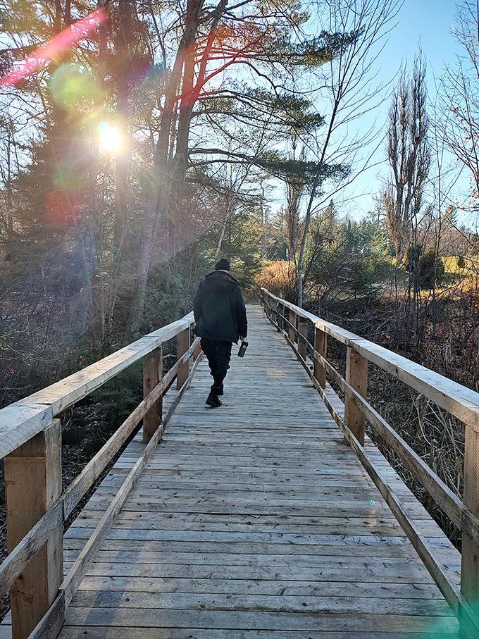 Bridge over tranquil water! This wooden walkway invites you to take a stroll into nature's embrace, no troll toll required.