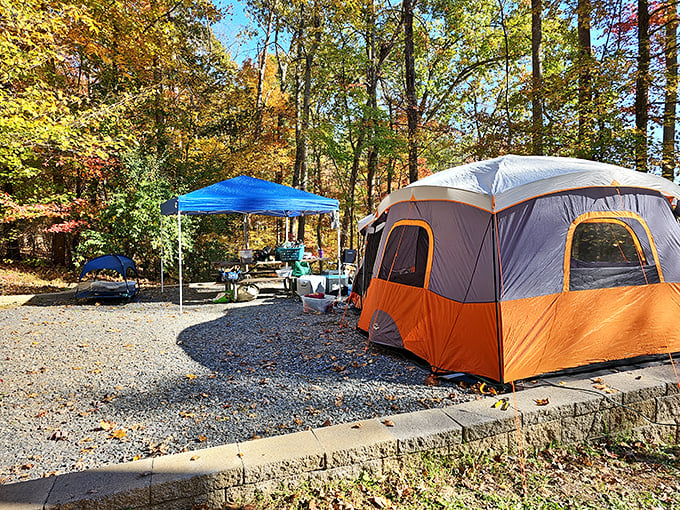 Camping goals: where "room with a view" means unzipping your tent to a forest wonderland.