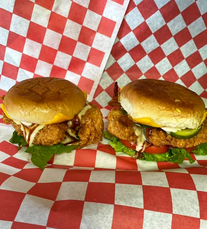 Behold, the chicken sandwich in its natural habitat! Nestled on a red-checkered blanket, it's ready for its tasty close-up.