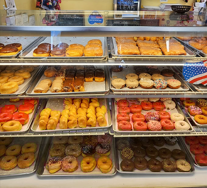 A rainbow of rings! This display case is like a jewelry box for your taste buds, each donut a precious gem of flavor.