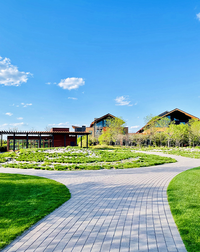 Zen and the art of software maintenance - Epic's landscaping proves that even bits and bytes need a breath of fresh air.