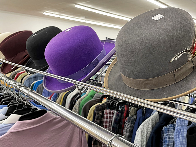 Hat's off to this colorful collection! Whether you're channeling Audrey Hepburn or Indiana Jones, there's a topper for every noggin.