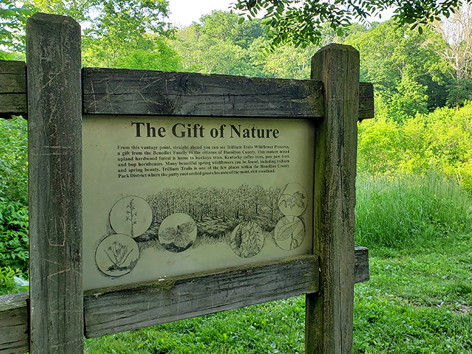 "Nature's classroom is in session! This informative sign proves that learning can be a walk in the park &ndash; literally!"