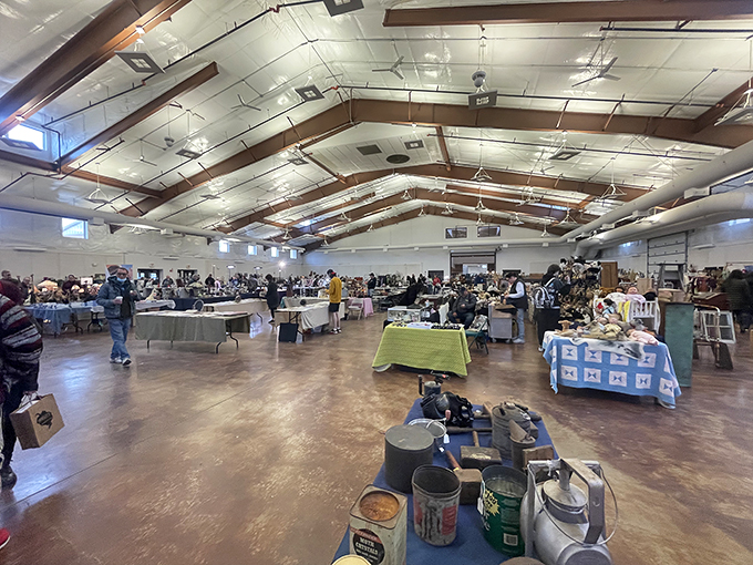 Treasure island indoors! Navigate through seas of collectibles and mountains of memorabilia. X marks the spot for your next great find.