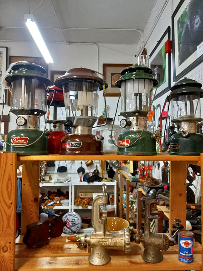 Illuminating finds! These vintage lamps are ready to light up your life and your campsite. Who knew nostalgia could be so bright?