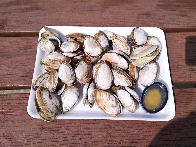 Shucks, what a sight! These mussels are ready for their close-up &ndash; and your taste buds are ready for the show.