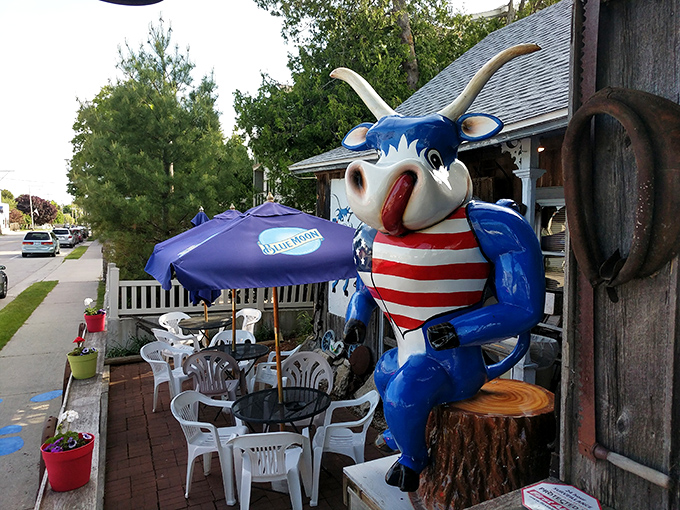 Al fresco dining, Blue Ox style! Where the fresh air enhances the flavor and the local wildlife provides free entertainment.