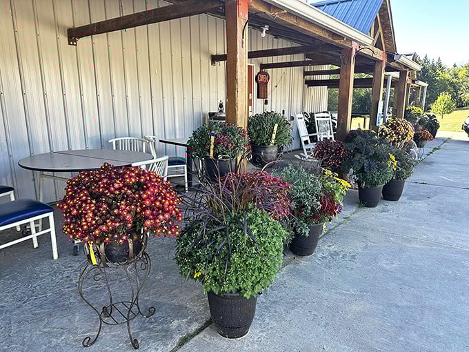 Nature's red carpet! These vibrant plants are giving Hollywood's finest a run for their money.