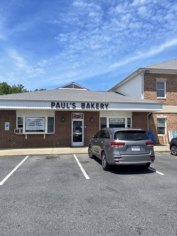 Donut mecca under blue skies! Paul's Bakery stands ready to fulfill your sweetest desires, no password or secret handshake required.