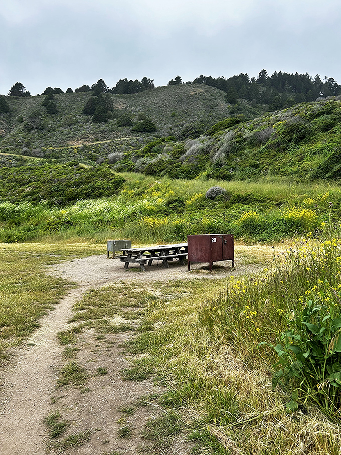 The world's most scenic pit stop! Who needs five-star restaurants when you've got million-star views and a picnic table fit for royalty?