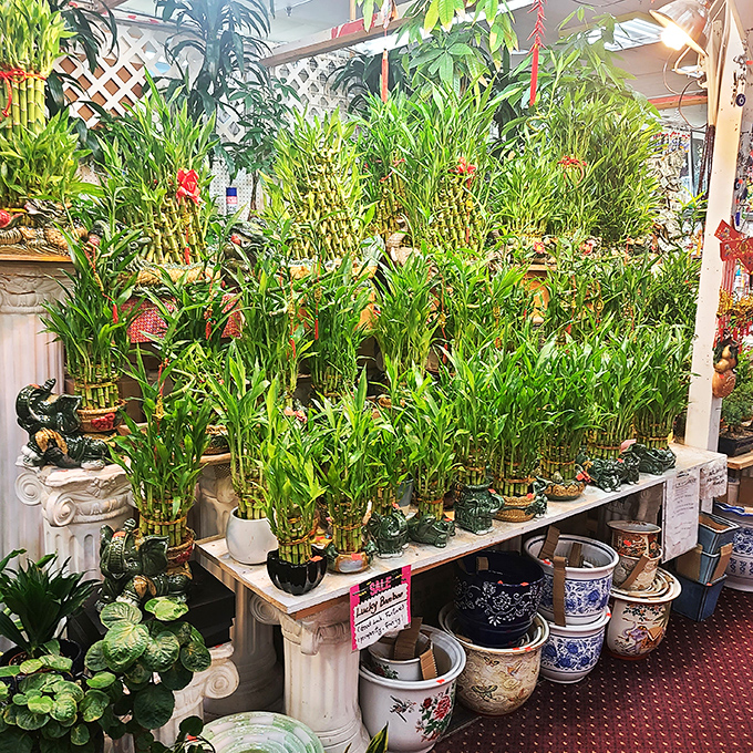 Jungle fever in the desert! This plant paradise brings a touch of tropical bliss to the arid Vegas landscape &ndash; green thumbs, rejoice!