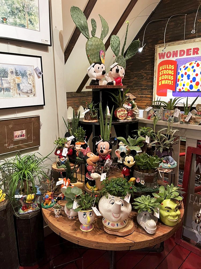 Mickey meets monstera! This whimsical display marries pop culture with plant life, creating a garden of earthly (and not-so-earthly) delights.