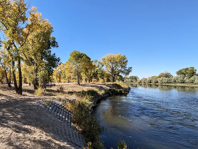 "River of dreams! With fall colors this vibrant, even Billy Joel would be inspired to write a new tune."