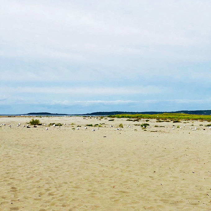 Sand, sand everywhere, and all the time to play. This beach is so vast, you could build a sandcastle empire and still have room for a moat.