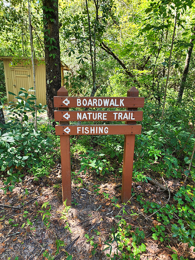 Choose your own adventure: Boardwalk strolls, nature trails, or fishing tales. At Woods Bay, indecision has never been so exciting.