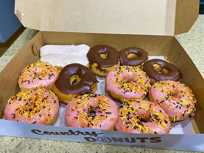 Pink and chocolate: the dynamic duo of the donut world. These colorful creations are like wearable art for your taste buds.