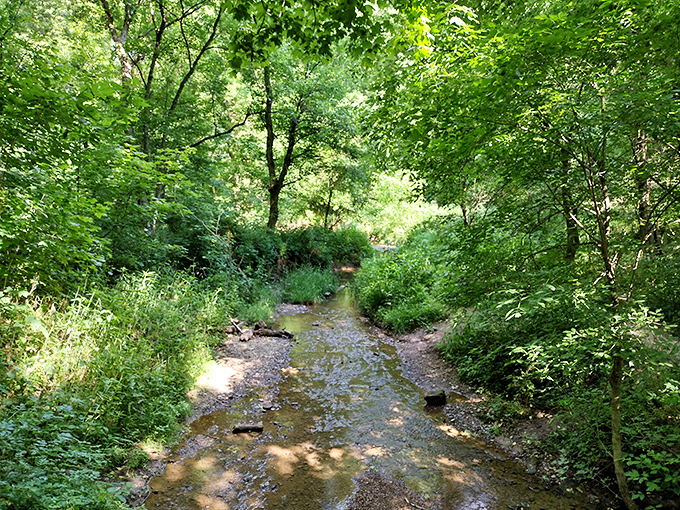 A creek that could give Bob Ross's "happy little streams" a run for their money. Just add some friendly trees and you're set!