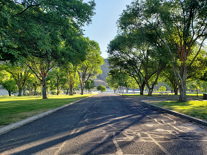 Tree-lined streets in the great outdoors? Unity Lake's campground is basically a gated community for nature lovers.