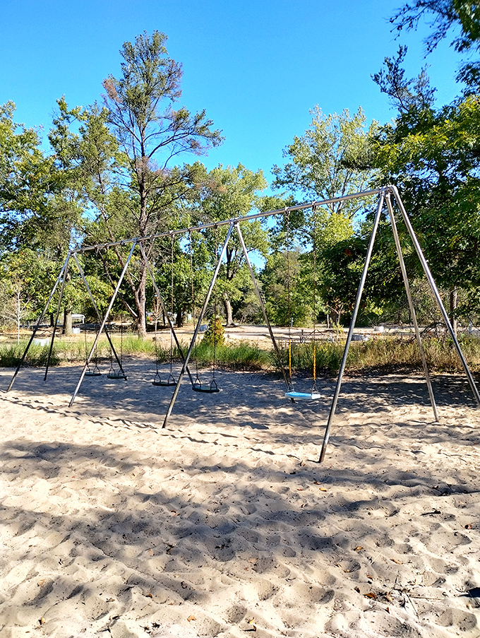 Swinging into vacation mode: where grown-ups can be kids again, no judgment allowed.