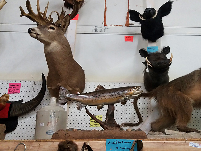 The ultimate conversation starter for your living room. Nothing says 'welcome' quite like a menagerie of stuffed critters.