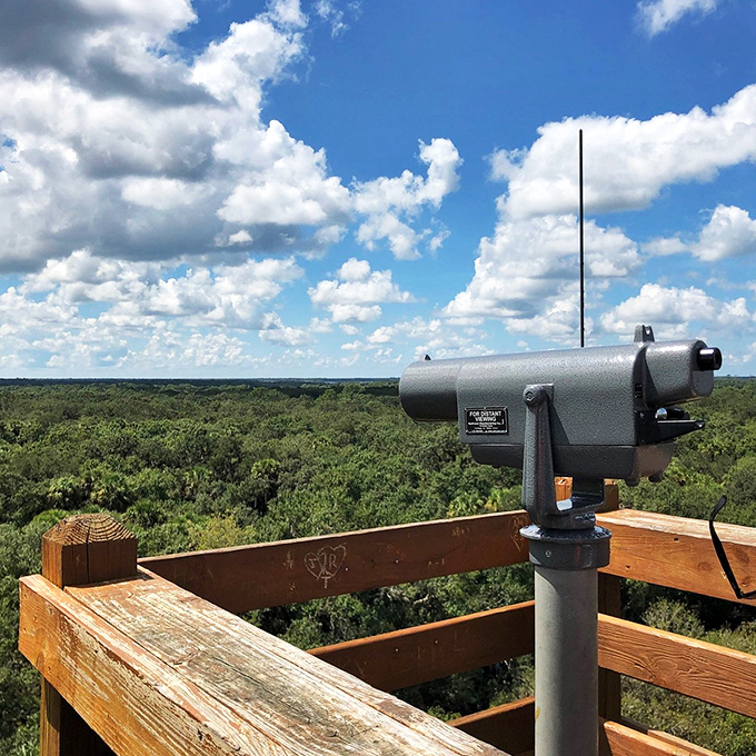 Forget your smartphone camera &ndash; this old-school viewfinder offers the ultimate zoom experience. No filters needed!