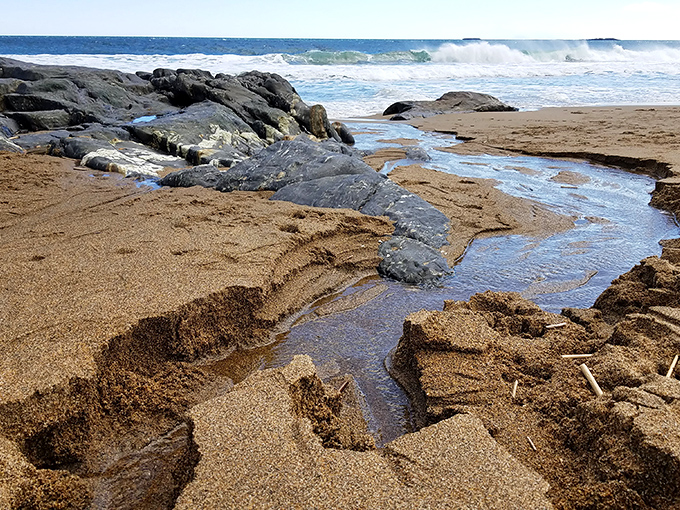 Nature's own infinity pool: Tidal treasures await in these rocky basins. It's like a scavenger hunt designed by Poseidon himself!