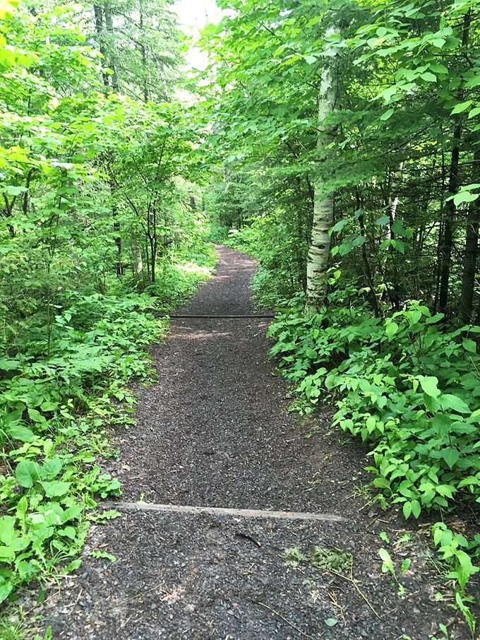 "The path less traveled..." Robert Frost would approve of this enchanting trail through Pattison's lush greenery.
