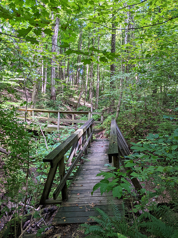 Bridge to tranquility! This wooden walkway invites you to leave the world behind and step into a green cathedral. It's like a stairway to heaven, minus the Led Zeppelin soundtrack.
