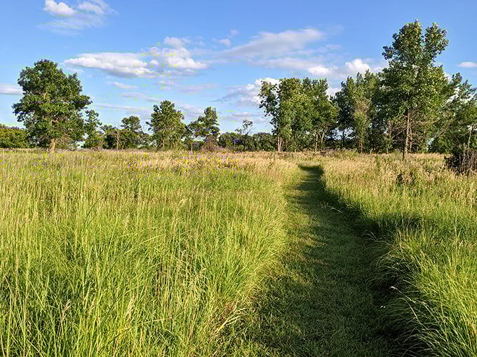 Prairie meets forest in this real-life "Lion King" opening scene. Just resist the urge to hold up any baby animals while standing on that big rock, okay?