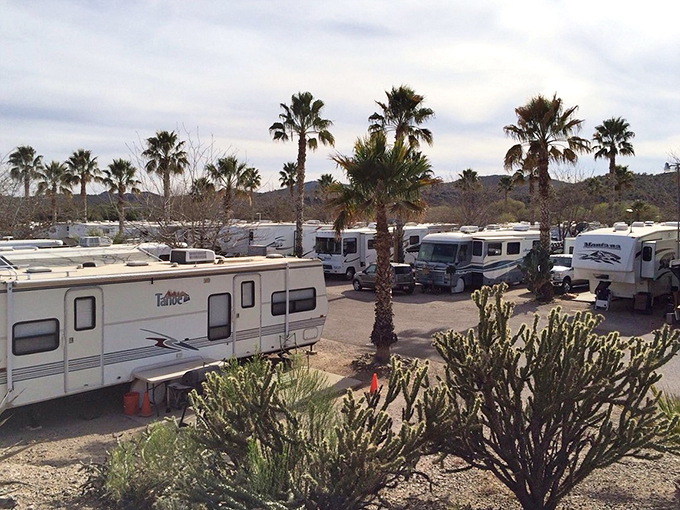RV not included, but endless adventures are! This Wickenburg RV park is a snowbird's paradise, offering a front-row seat to Arizona's natural wonders.