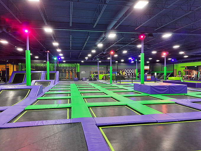 A patchwork of trampolines stretches as far as the eye can see. It's a jumper's paradise, folks!