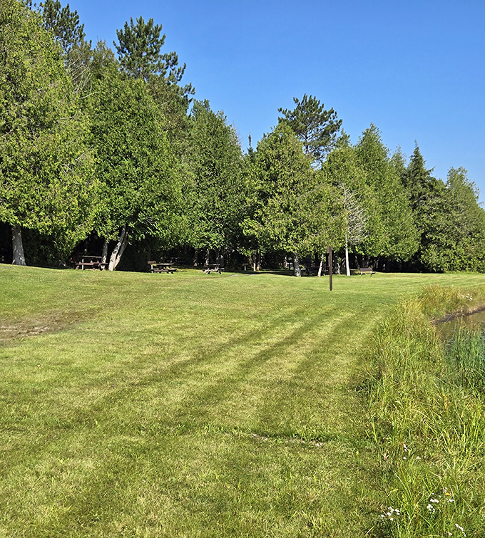 Aroostook's natural buffet: All-you-can-breathe fresh air, with a side of sunshine and birdsong.