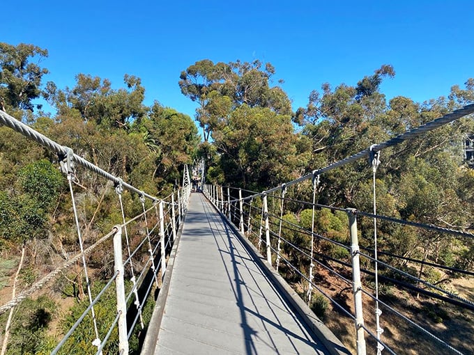 One small step for man, one giant leap for your Instagram feed. This walkway is your ticket to San Diego's most photogenic stroll.