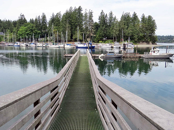 Walk the plank, but in a good way! This boardwalk leads to adventures Captain Jack Sparrow would envy.