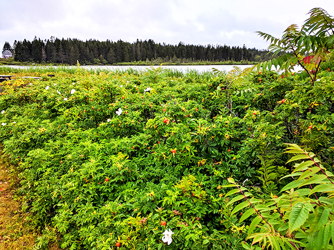 Blooming marvelous! A riot of wildflowers paints the landscape in vibrant hues. It's like Mother Nature decided to throw a color party, and everyone's invited.