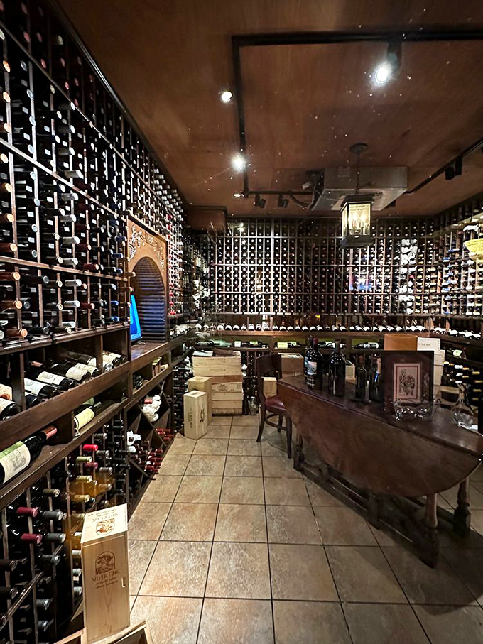 Wine not indulge? This cellar isn't just storing bottles, it's safeguarding liquid happiness. Each rack is a treasure trove of potential toasts!