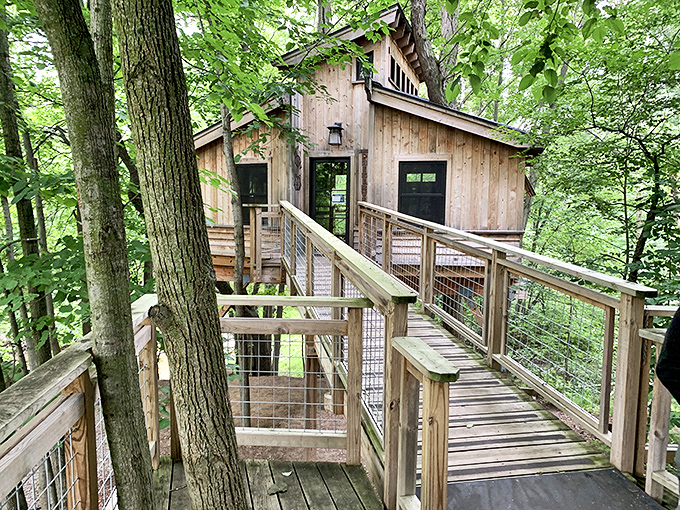 For-Mar's greenhouse: Where plants throw pool parties year-round. Sunscreen optional, wonder mandatory.