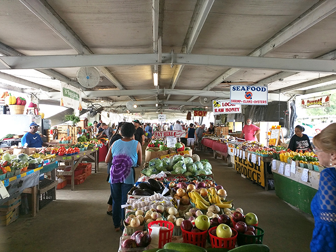 Market of Marion: Where every aisle is a new adventure! It's like a treasure map come to life.