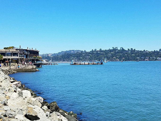 Relax and soak in the beautiful bay view, where blue water meets the rolling green hills. What a great day!