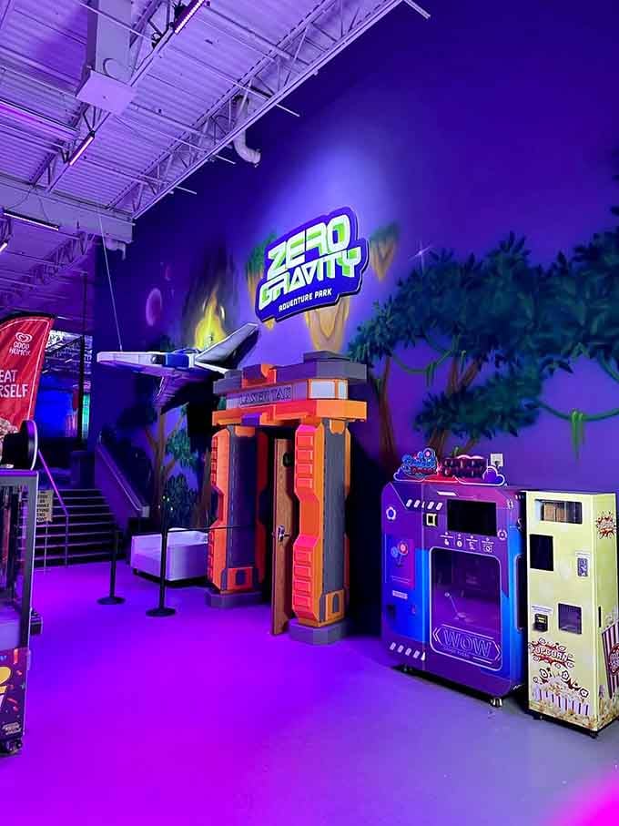 12a. zero gravity trampoline park (mounds view)