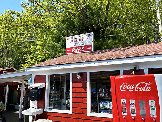 Red paint, blue skies, and golden-fried seafood &ndash; Chauncey Creek is a feast for all your senses.