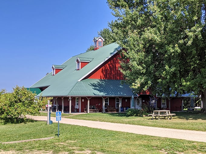 Decisions, decisions at Maiden Rock! With views this sweet and drinks this varied, you'll want to stay until the cows come home.