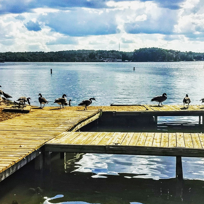 Tree-lined horizon and tranquil lake create a scene so picturesque, you'll find yourself involuntarily humming "Georgia On My Mind."