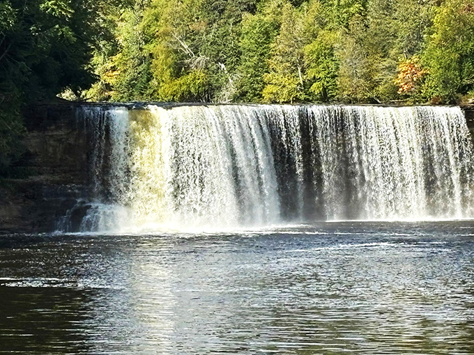 A waterfall that looks good enough to drink! Tahquamenon's unique hue turns every visit into a "pour-formance" of natural wonder.