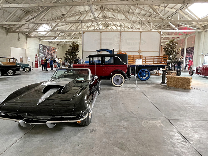 Rev up your flux capacitor! This museum is your ticket to relive the days when cars had fins and milkshakes cost a nickel.