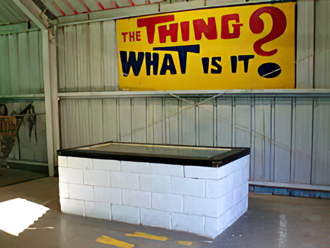 Is it a bird? A plane? No, it's... well, we're not quite sure. But that's half the fun of "The Thing"!