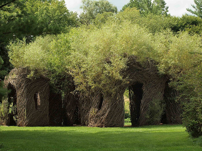 Who said plants can't be sculptors? This living art installation is Mother Nature's answer to Picasso, with a dash of Dr. Seuss thrown in.