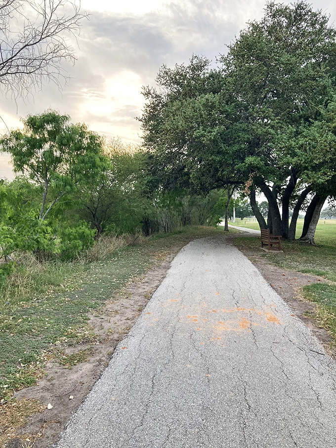 Biking trail: Pedal your way to serenity on this picturesque trail. It's like a real-life version of that Windows XP wallpaper, but with more trees.